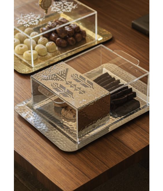Plexi Box with Silver Hammered Metal Tray